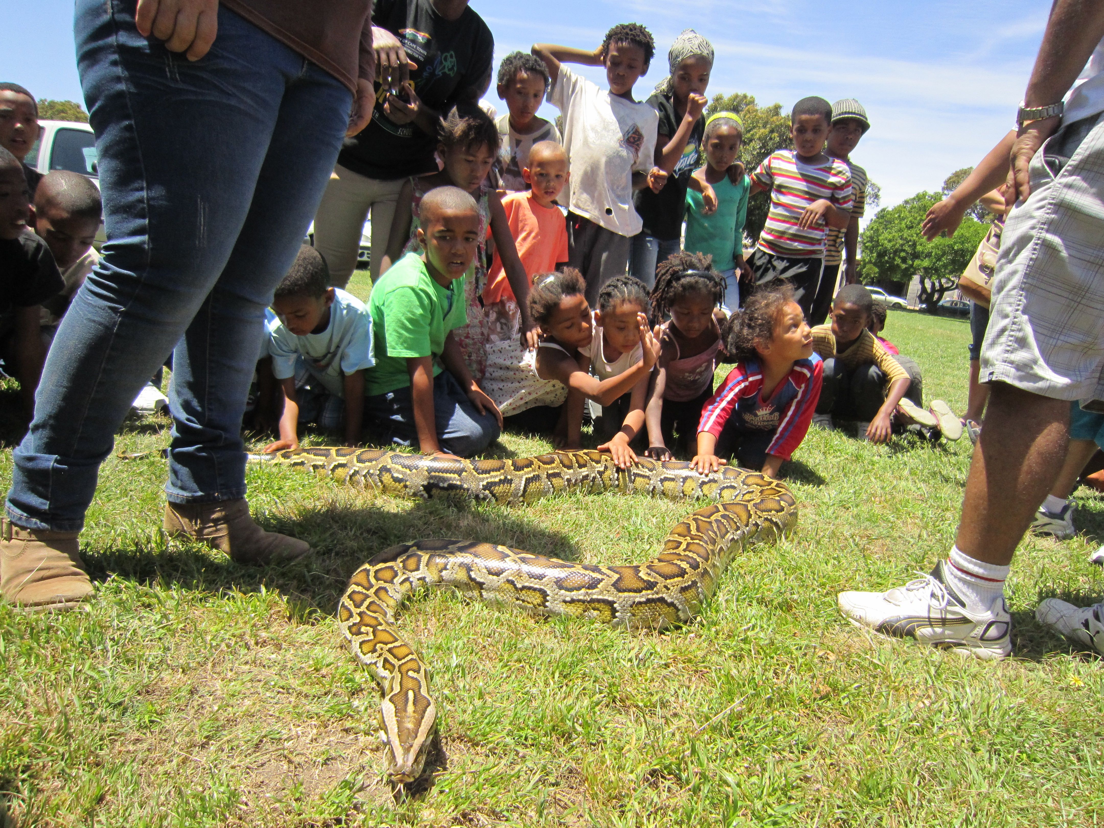 Learn more about snakes at the Imhoff Snake Park | Steadfast Greening